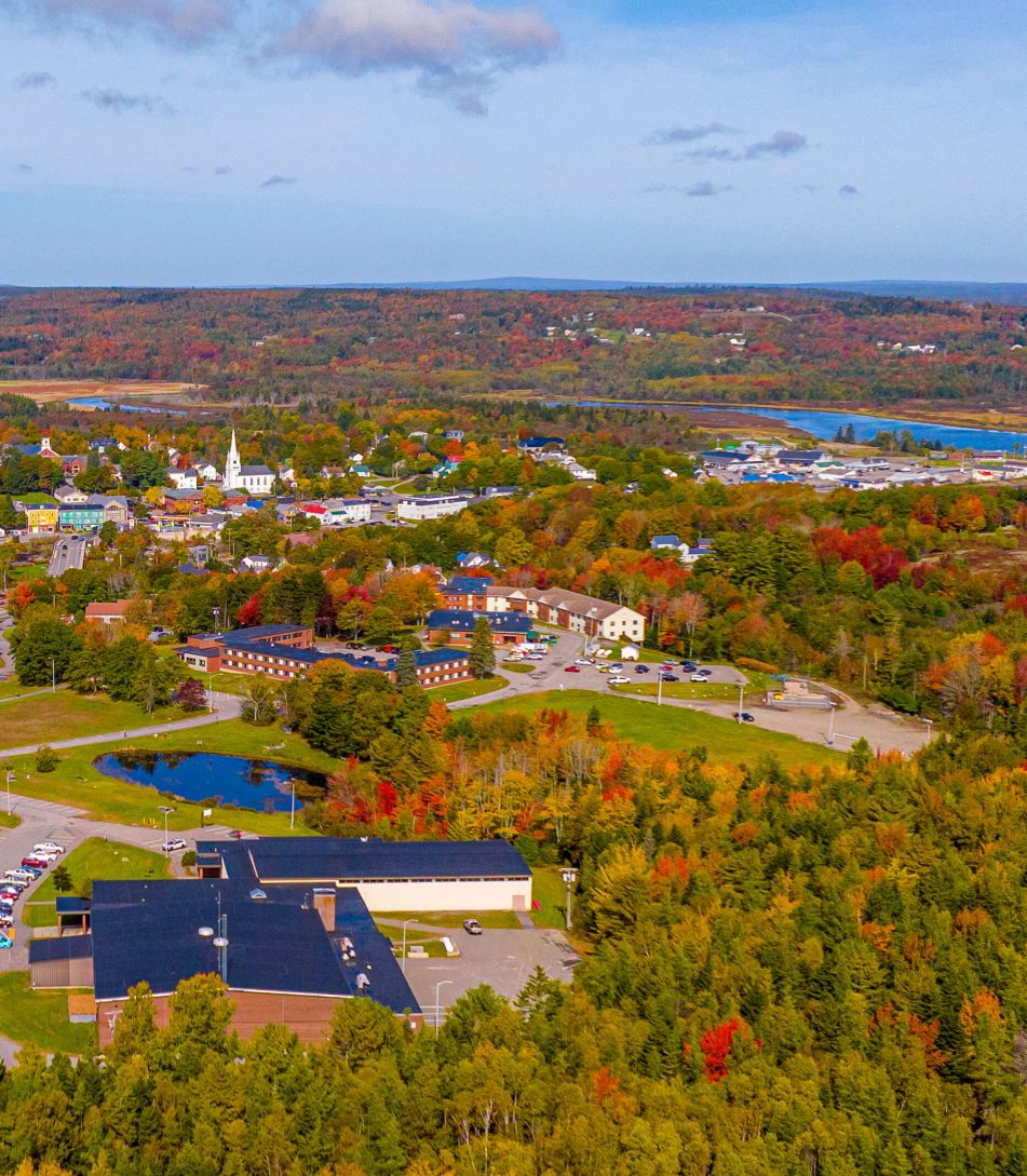 B.C.S. Bachelor of College Studies | University of Maine at Machias
