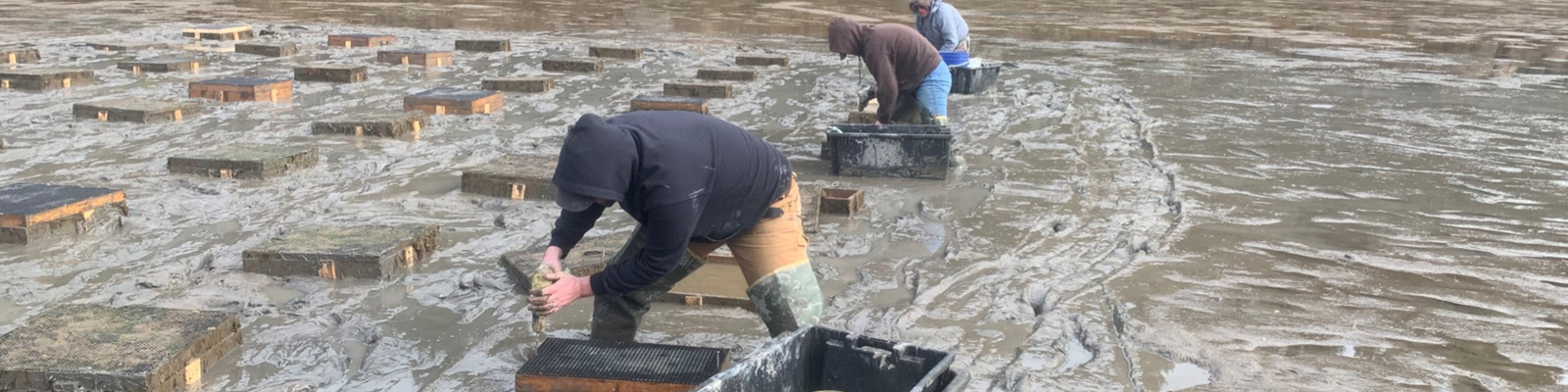 Marine Science Field Station - Marine Biology